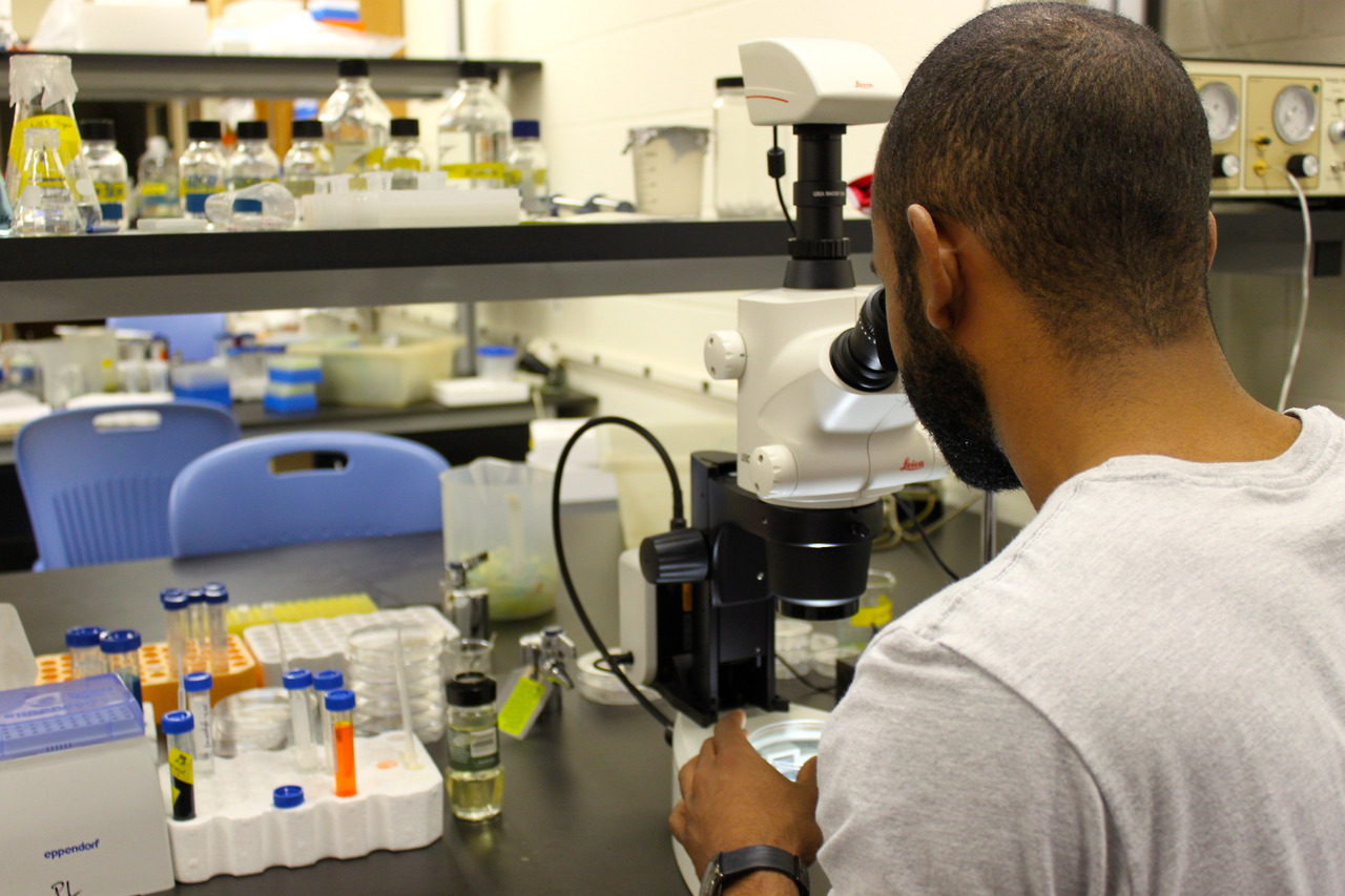 Why Study At Andrews Andrews University