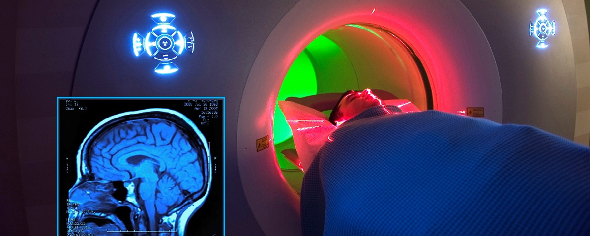 Biomedical Physics Programs Undergraduate Enrollment :: Andrews University