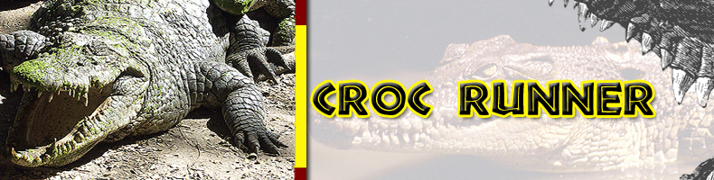 Crocodile Runner