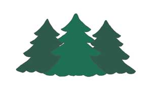 PMC Evergreen Pathfinder Club